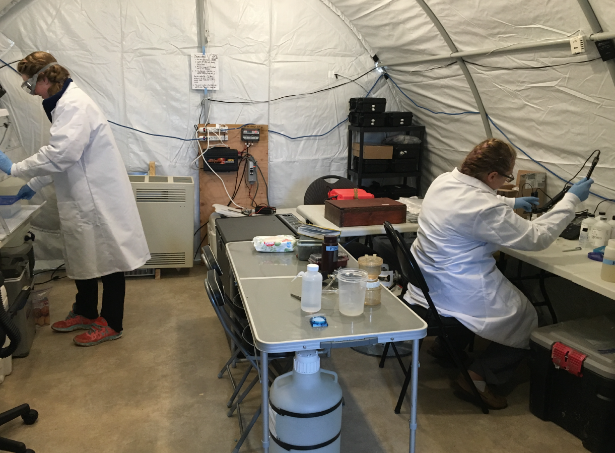 QuAWLity Lab Tent – Cape Bounty Arctic Watershed Observatory