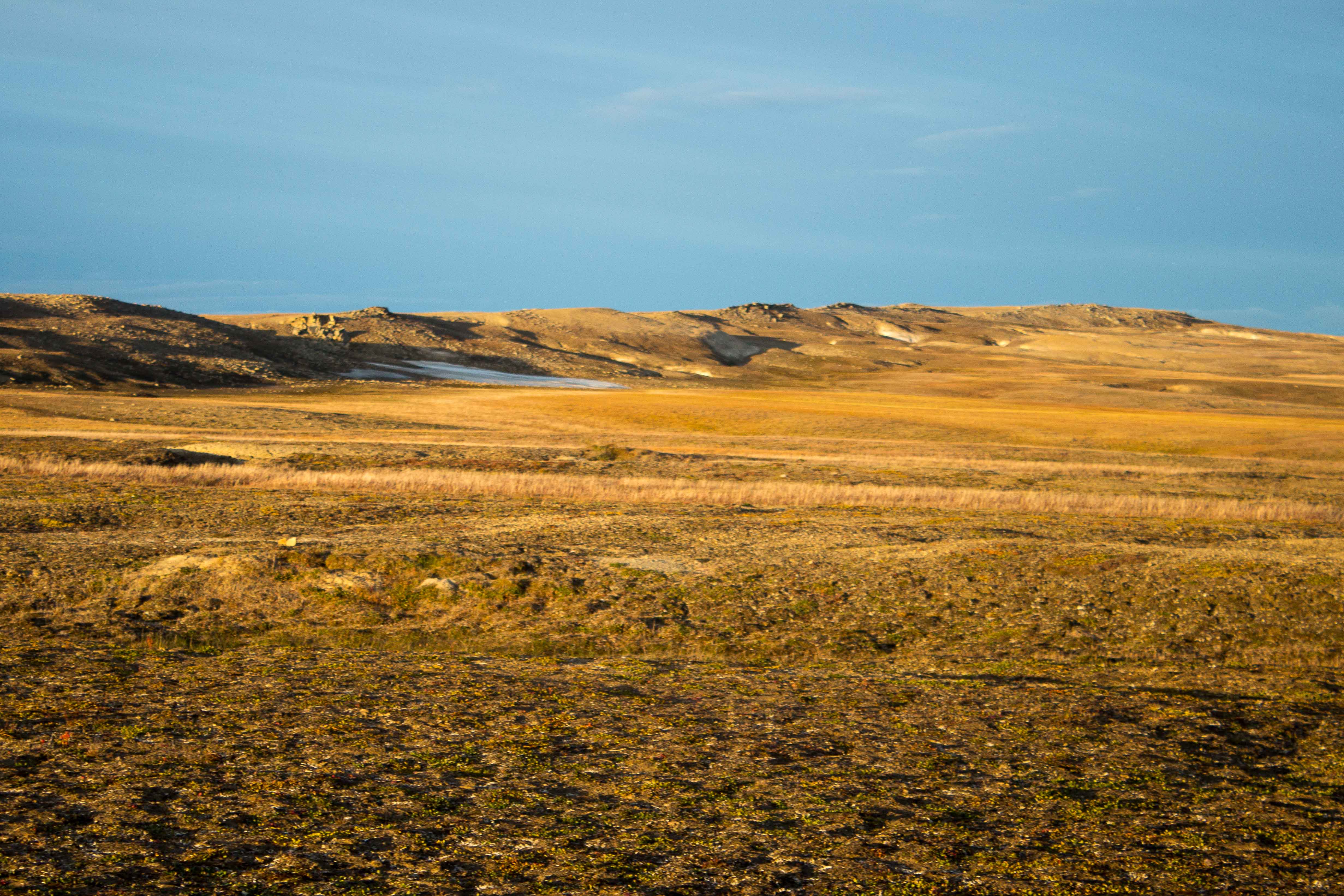 Remote Sensing – Cape Bounty Arctic Watershed Observatory